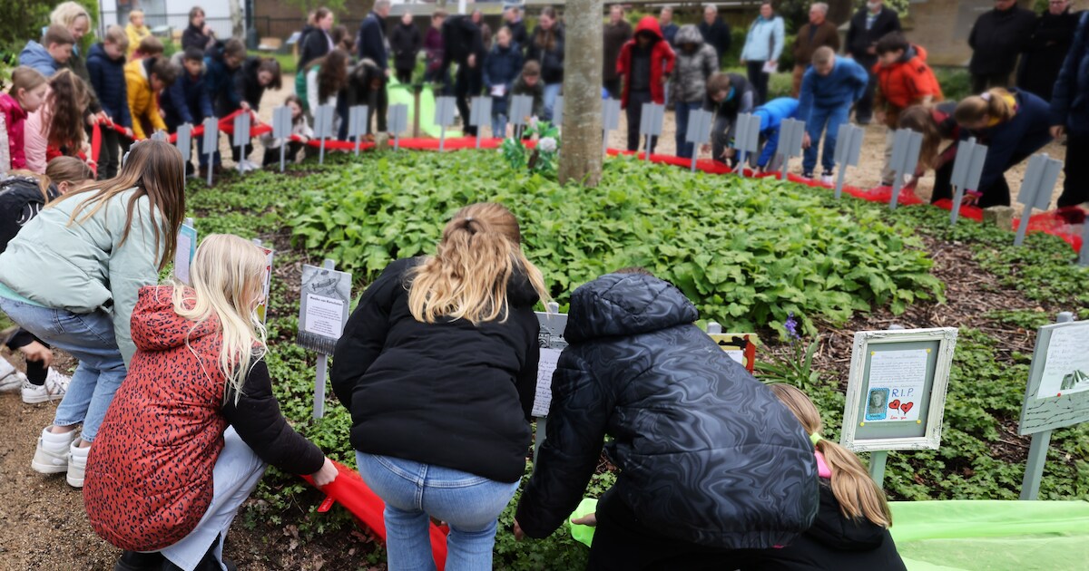 Begraafplaats Maria Rust en Streekmuseum Goeree-Overflakkee finalisten ...