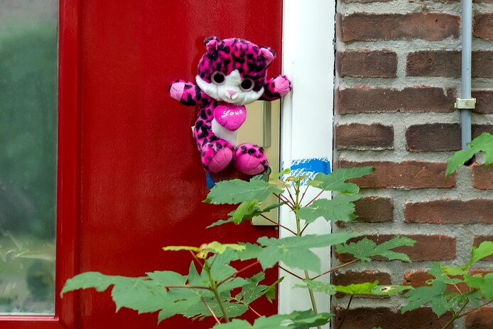 Zwaargewond 10-jarig meisje was volgens pleegouders van trap gesprongen, politie vertrouwde het ...