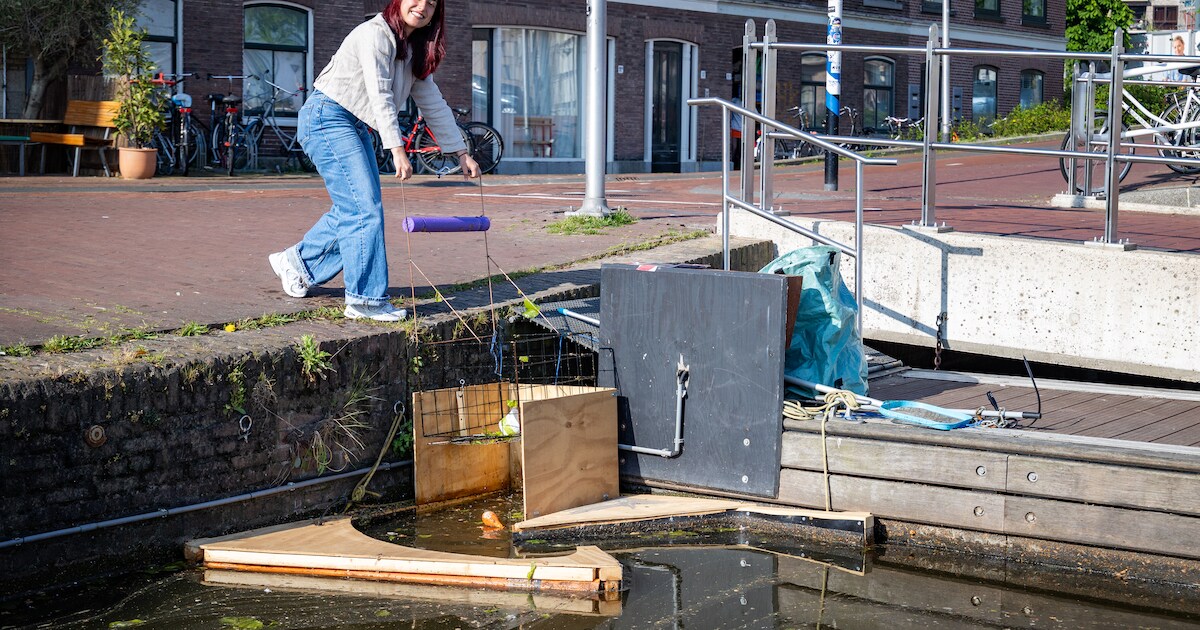 Anna’s ‘City Cleaner’ gebruikt wind en stroming voor afvalvrije Delftse ...