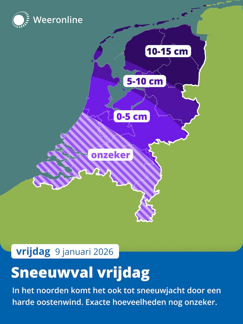 LIVE sneeuw | Dak van stal met 23 koeien bezwijkt in Hilversum, Barry ...