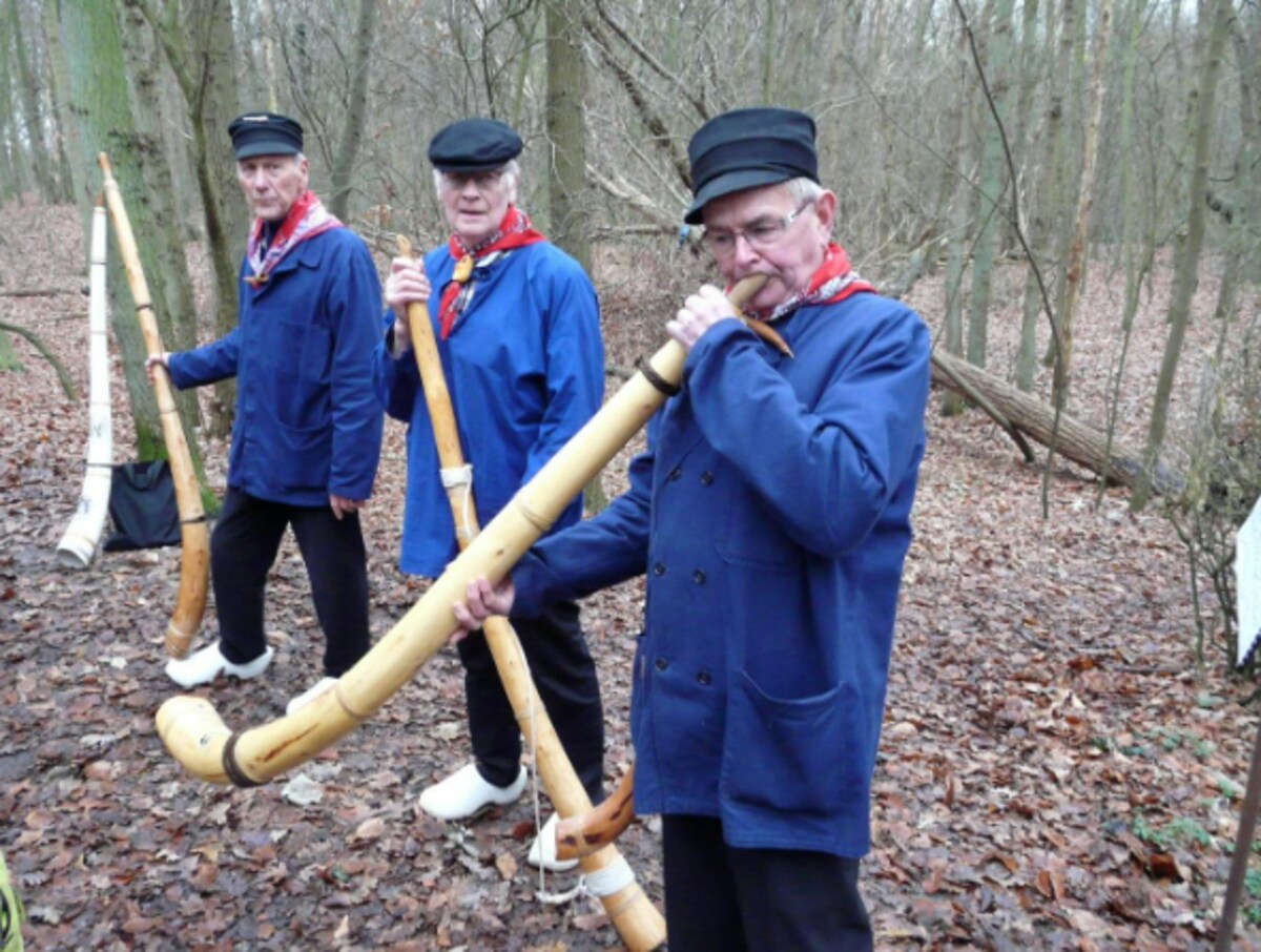 Midwinterwandeling in Staelduinse Bos met hoornblazers | Midden ...