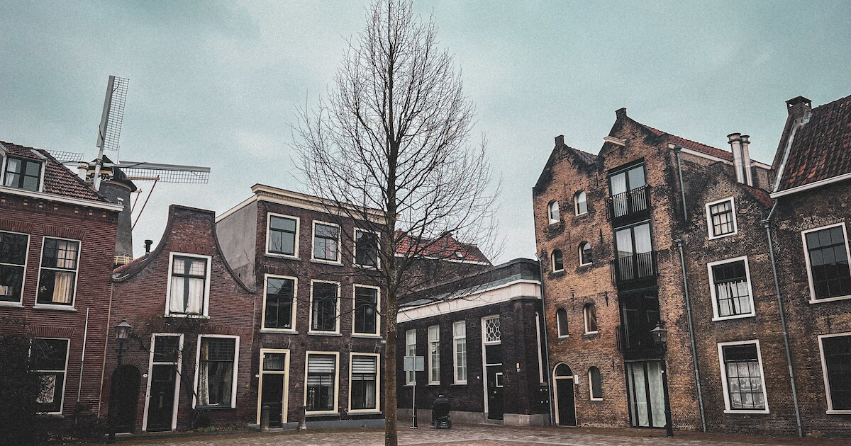 Anderhalf jaar later: eindelijk een nieuwe boom op de Vismarkt | Regio ...