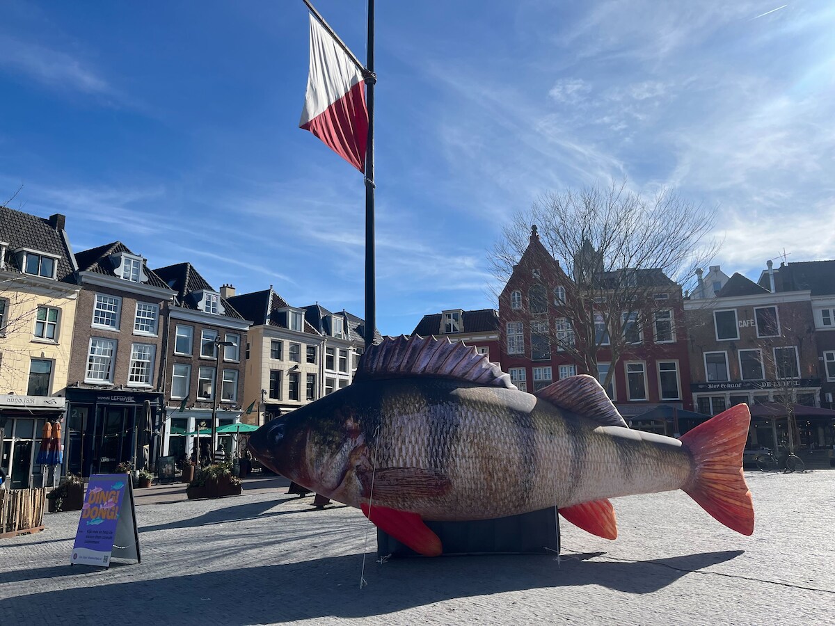 Er ligt een hele grote vis op het droge op de Neude, dit is waarom ...