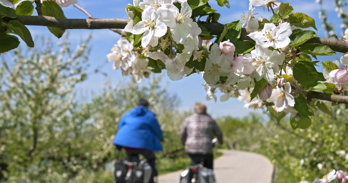 Voorjaarsvakantie voor regio's Midden en Noord begint droog, later ...