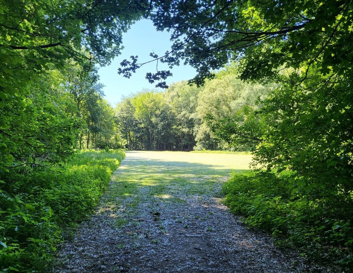 Dag van de Houtbouw in Zoetermeer: duurzaam paviljoen ’t Westpunt open ...