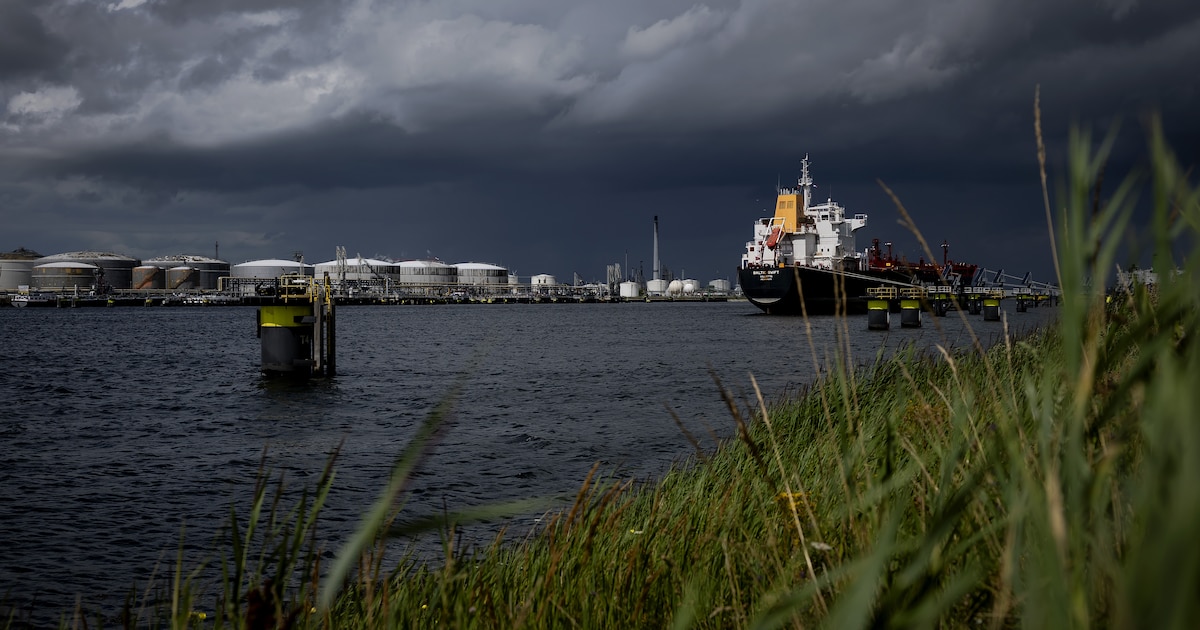 Natte dagen op komst met harde wind: ‘Zal echt grijs worden’ | Nieuws ...