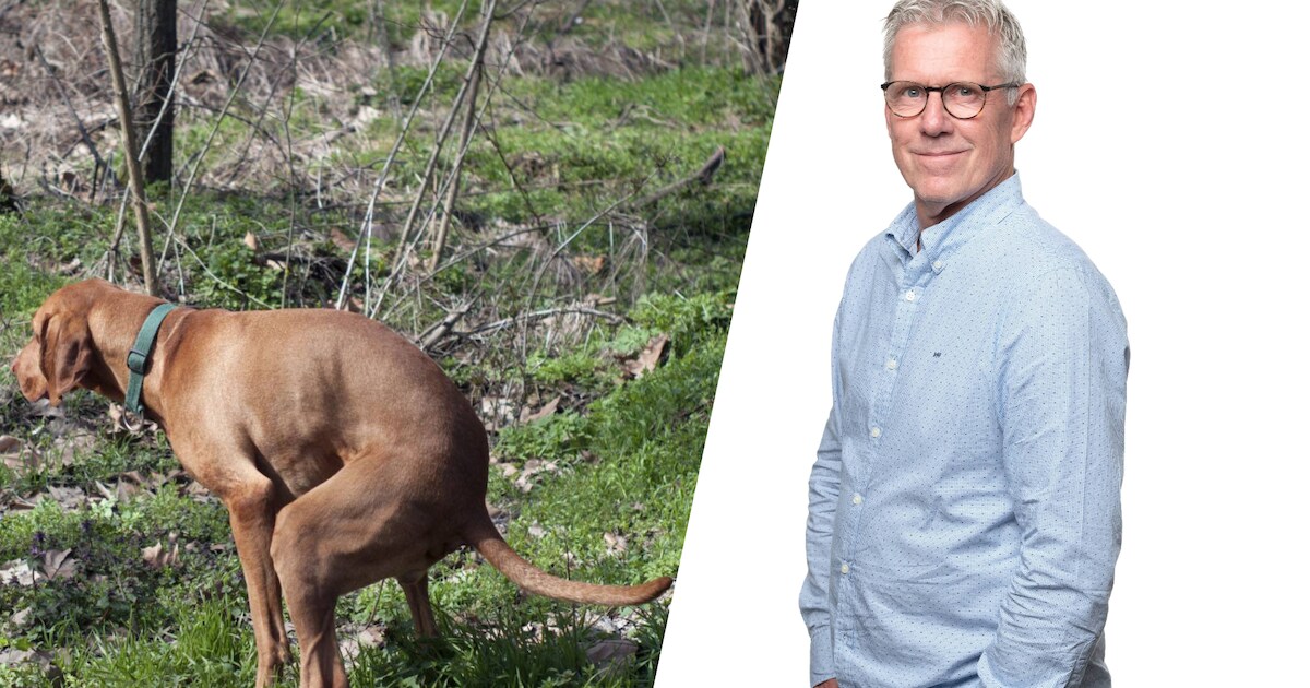 Hondenpoep opruimen in Barendrecht: ‘Ik betaal toch hondenbelasting ...