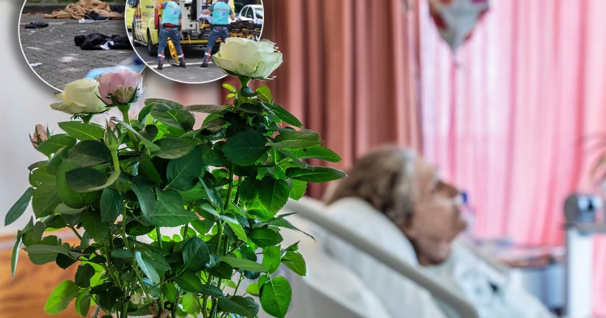 Zeven jaar cel en tbs met dwangverpleging voor overvallen en overrijden Ans (76) die later ...