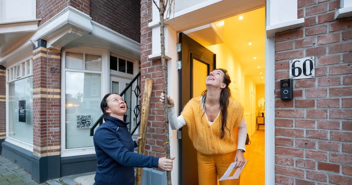 Gratis boom voor Hagenaars: zo krijg je er een | Regio | AD.nl