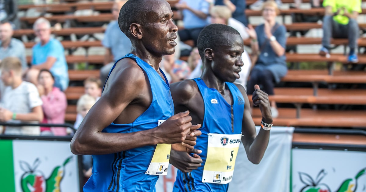 Elitelopers die afgelaste halve marathon in Zwolle zouden lopen, komen ...