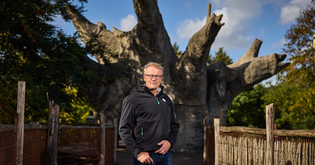 Nieuwe directeur schrok zich rot toen hij begon bij Blijdorp: ‘Hier liep het financieel uit de ...