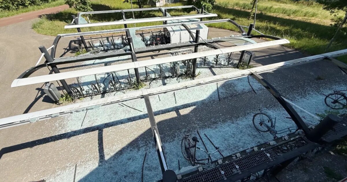 ProRail ziet iets minder vandalisme op stations, maar houdt miljoenen euro’s schade: ‘Zó zonde ...