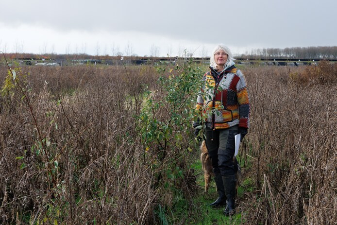 Anje (55) verliet kantoorleven en runt nu voedselbos: ‘Een gewone boer ...