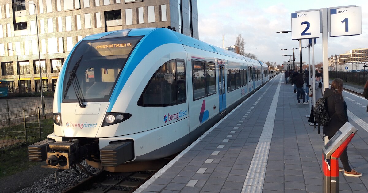 Drietal na korte achtervolging gepakt voor bekladden trein | Regio | AD.nl