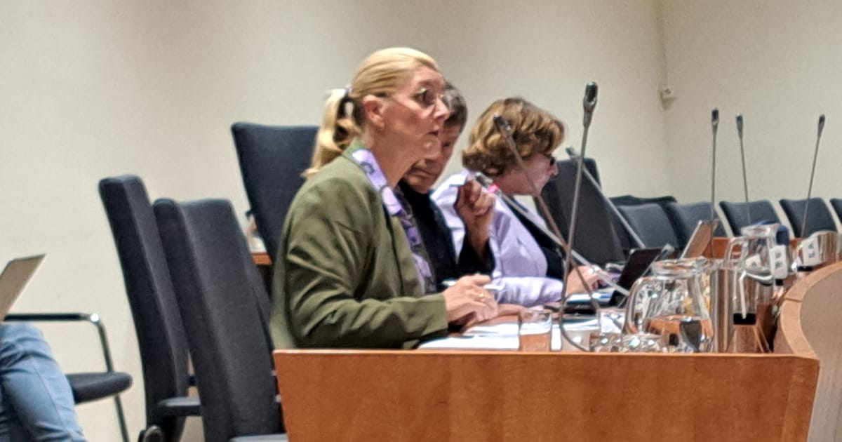 Gemeenteraad steunt nieuwbouwplan van voetbalclub BVV Barendrecht ...