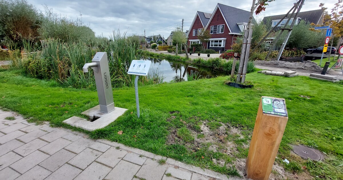 Lopen, rekken en strekken voor een betere conditie met kilometerslange ...
