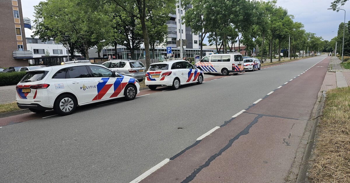 Groepen jongeren met elkaar op de vuist, twee jonge vechtersbazen ...
