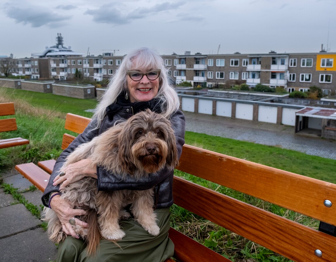 Sloop van huurwoningen op 't Eiland komt hard aan: 'We wilden hier ...