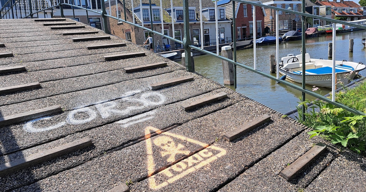 Klimaatactivisten niet blij met Varend Corso: ‘Corso = toxic’ | Regio ...