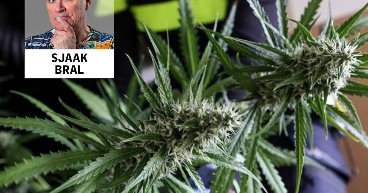 ‘Den Haag: Stad van Recht, Vrede en Wiet’ Waarom legaliseren we de ...