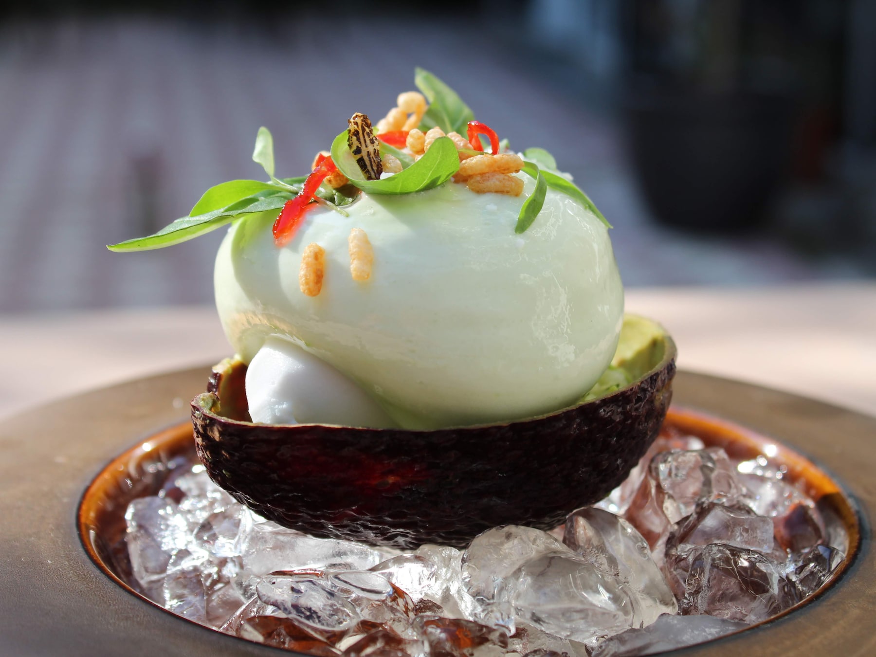 Gouden Pollepel Groene Hart 2024/2025 | AD.nl