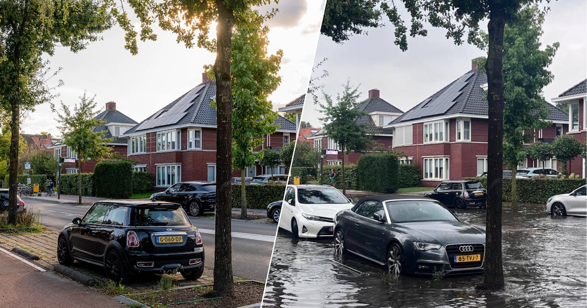 Bij stortregen stromen de straten in Bilthoven vol water: dit zijn ...