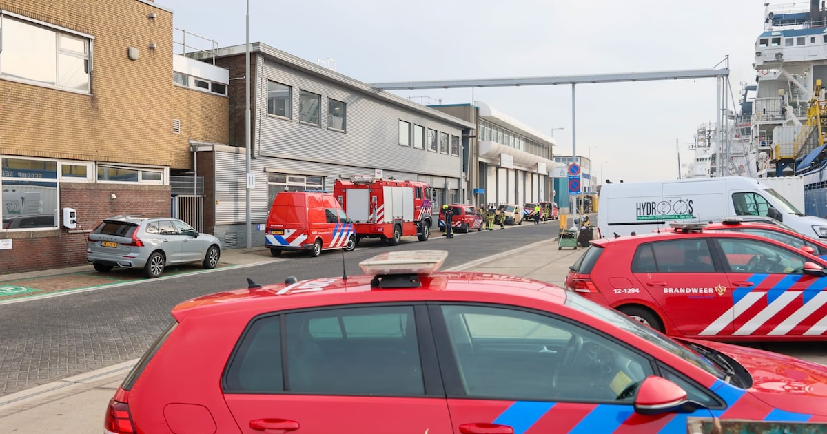 Waterstofsulfide vrijgekomen bij Total Energies in Beverwijk: 'Geen ...
