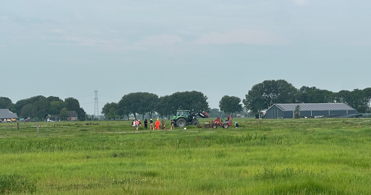 Brandweer vist met hulp van boer een paard uit de sloot in Hardinxveld-Giessendam | 112 nieuws ...