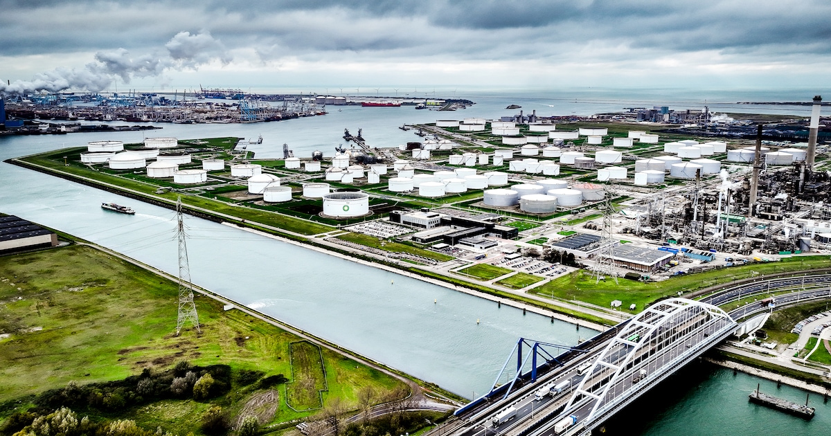 BP schrapt 150 banen in Rotterdamse haven: ‘Dit is buitengewoon wrang ...