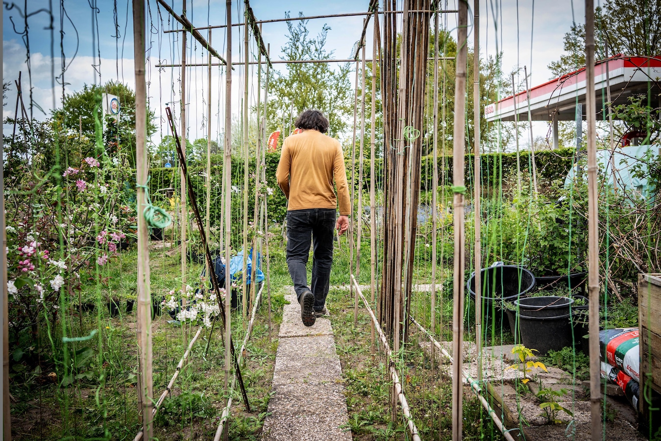 Oscar is maandenlang een paria bij zijn moestuin, nu keert hij terug ...