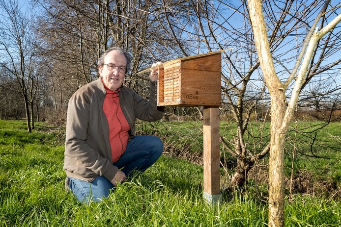 Waarom volgens wilde-bijenvader Peter bijen in de boomgaard zorgen voor ...