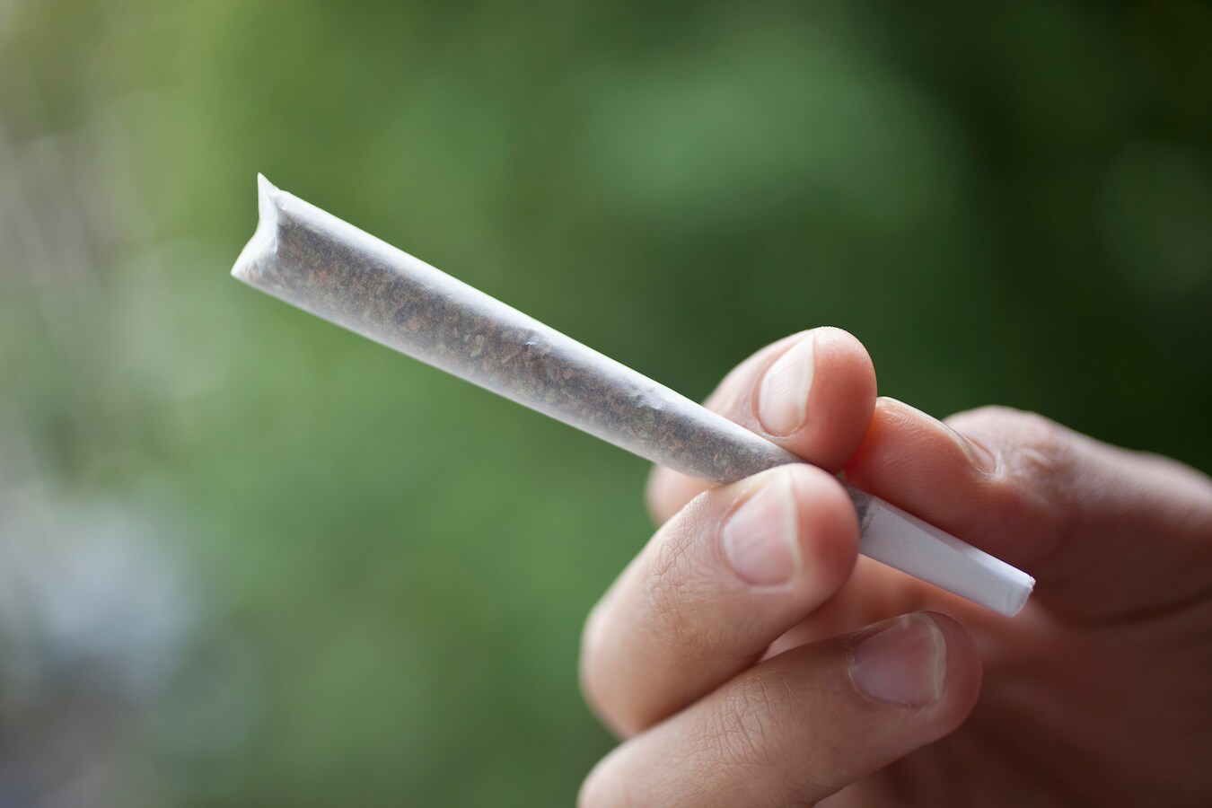 Duizenden joints en tientallen kilo’s wiet in huis Wagenberg | Foto | AD.nl