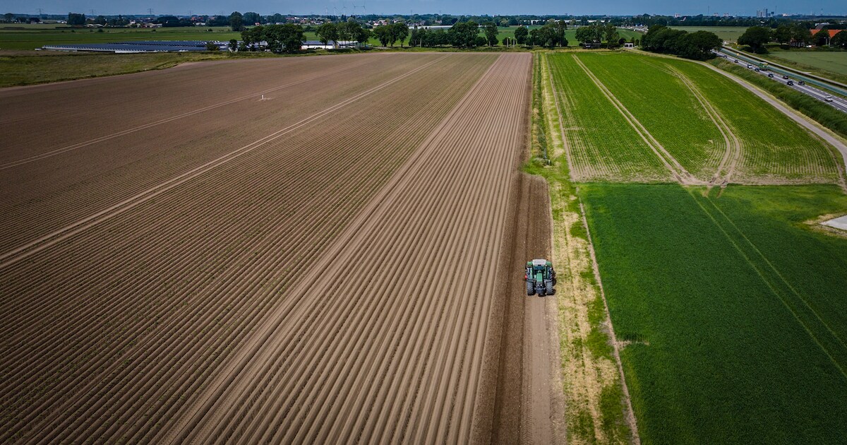 Van nat naar heet: agrarische sector vreest voor gevolgen op de ...