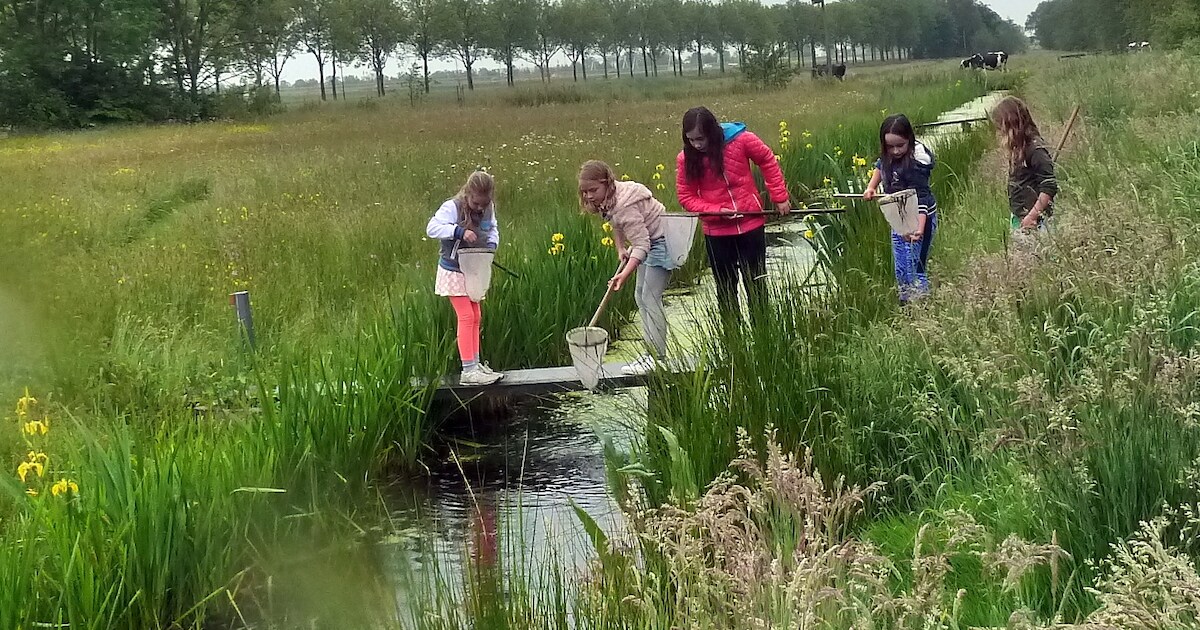 Kinderen leren alles over slootleven bij waterdierenles in Capelle ...