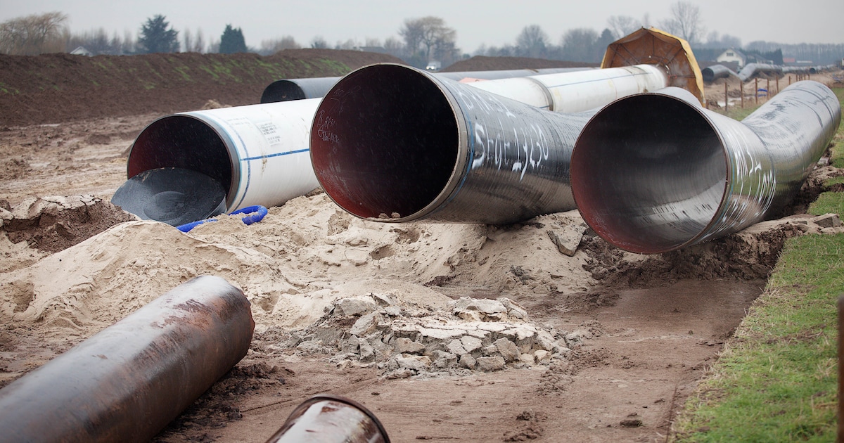 Enorm gebied op de schop voor de aanleg van pijpleidingen voor groene waterstof | Rotterdam | AD.nl