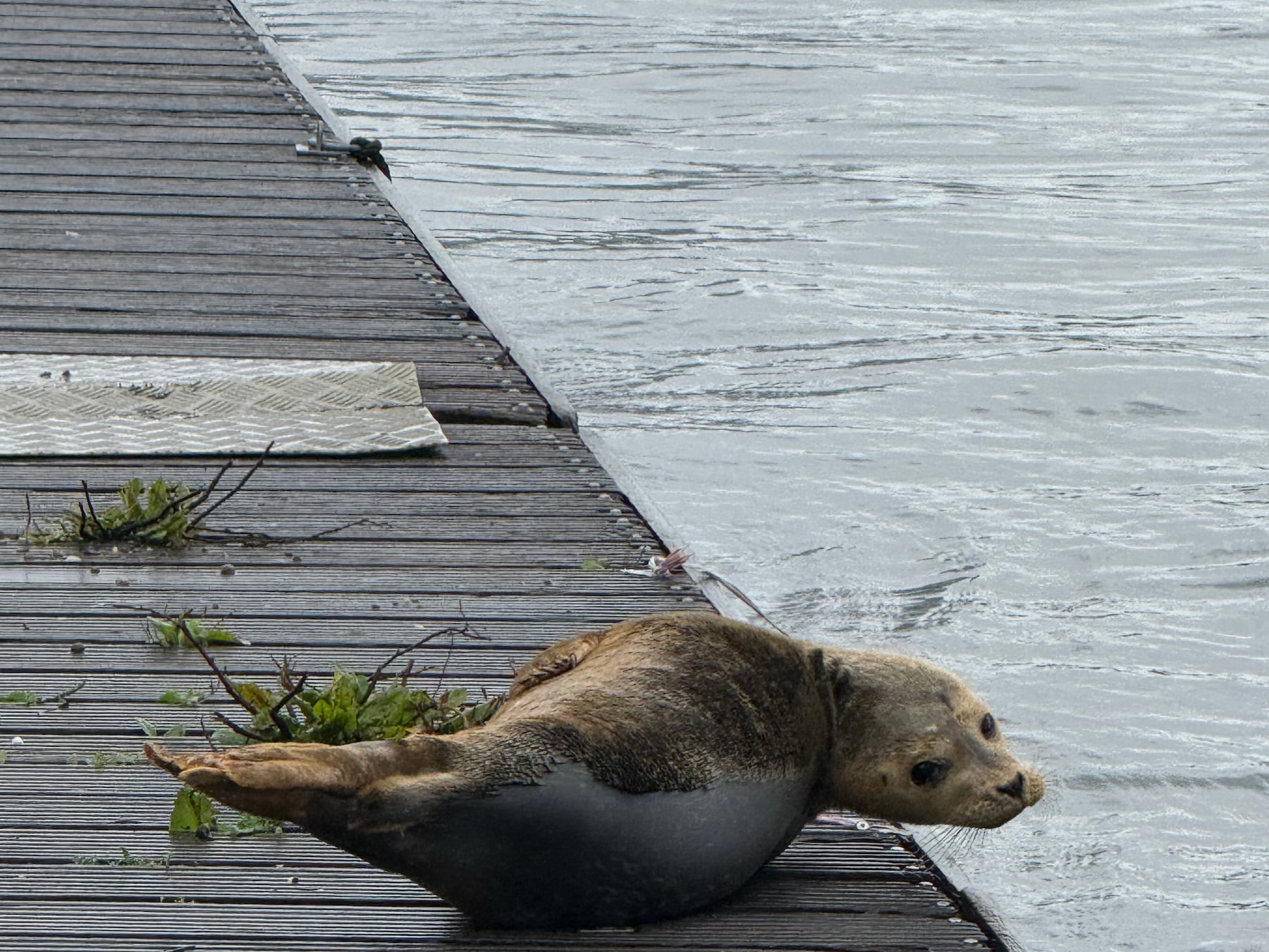 Sanjay Jhinnoe werd ‘pisnijdig’ van ondoorzichtig makelaarswereldje en ...