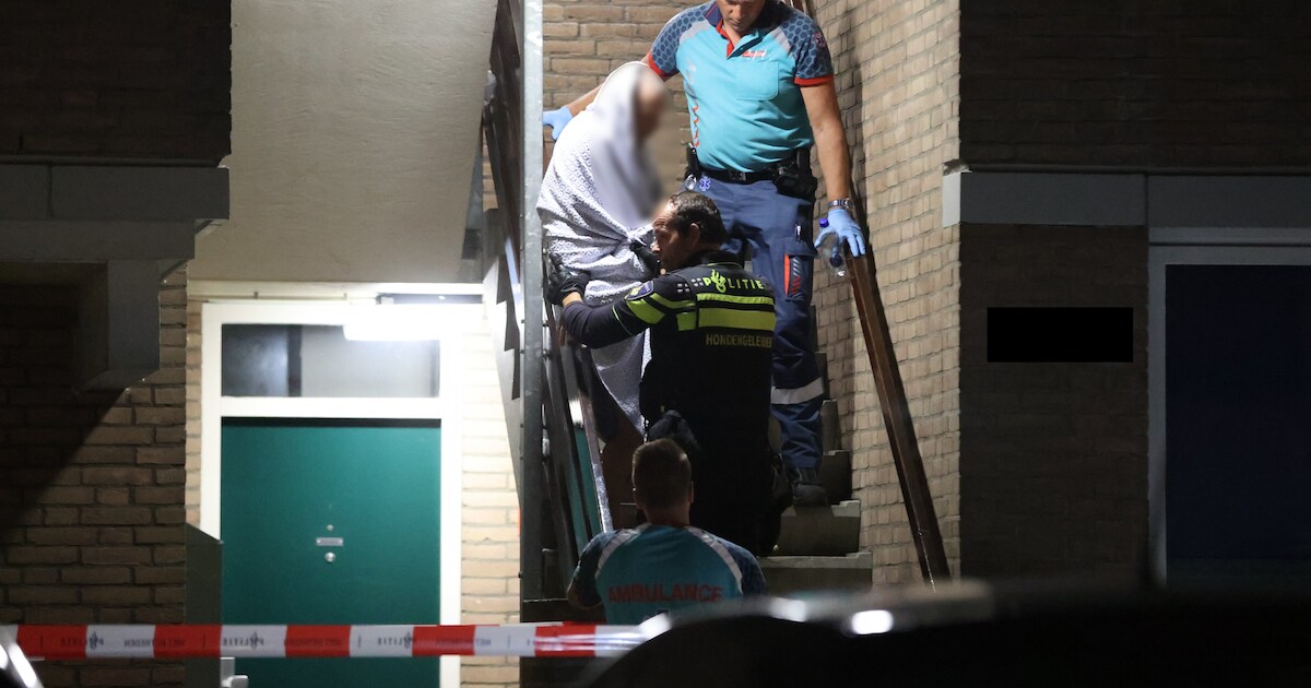 Langlopende familievete wordt Pascal (47) fataal: ‘Die boevenkop, we ...