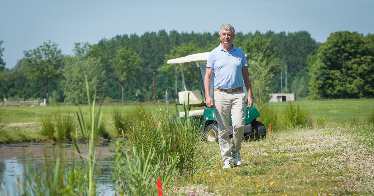 Poep scheppen op de golfbaan | Utrecht | AD.nl