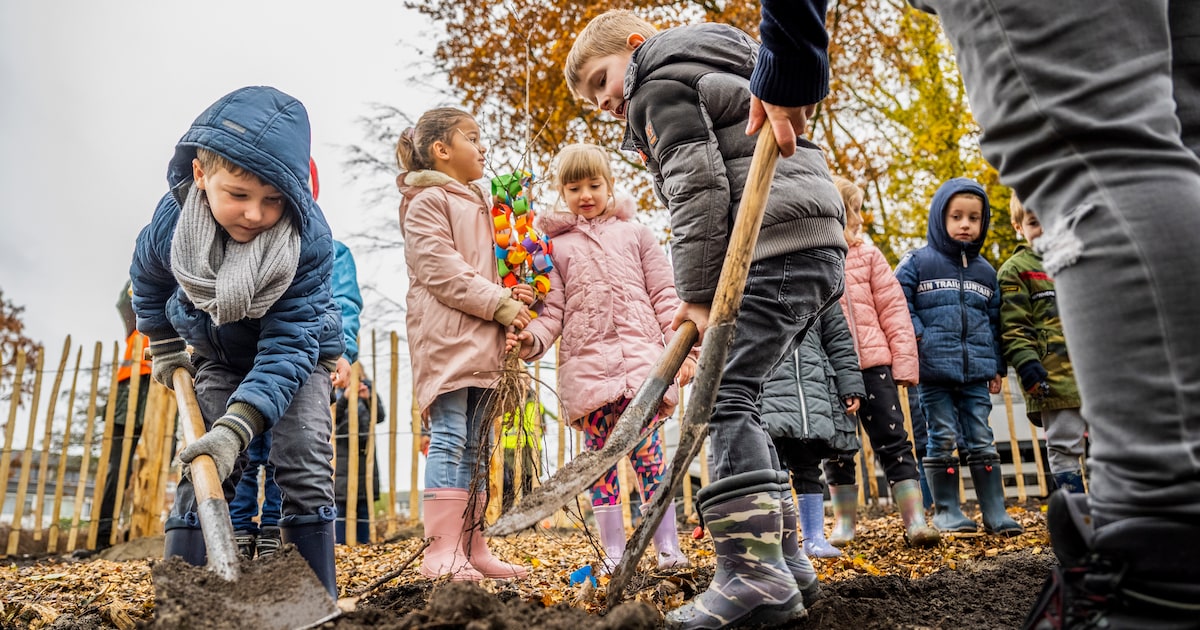 Moordrecht krijgt een tiny forest | Zuidplas | AD.nl
