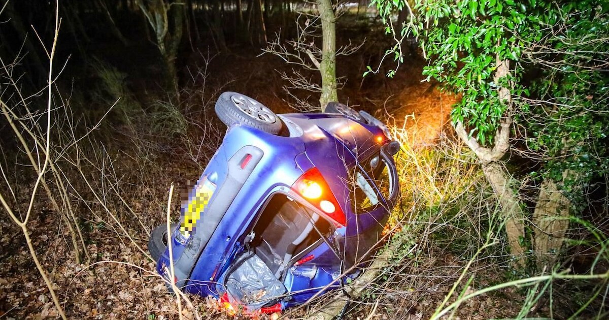 Automobilist gewond in Ugchelen: bestuurder schiet van talud en komt tegen boom tot stilstand ...