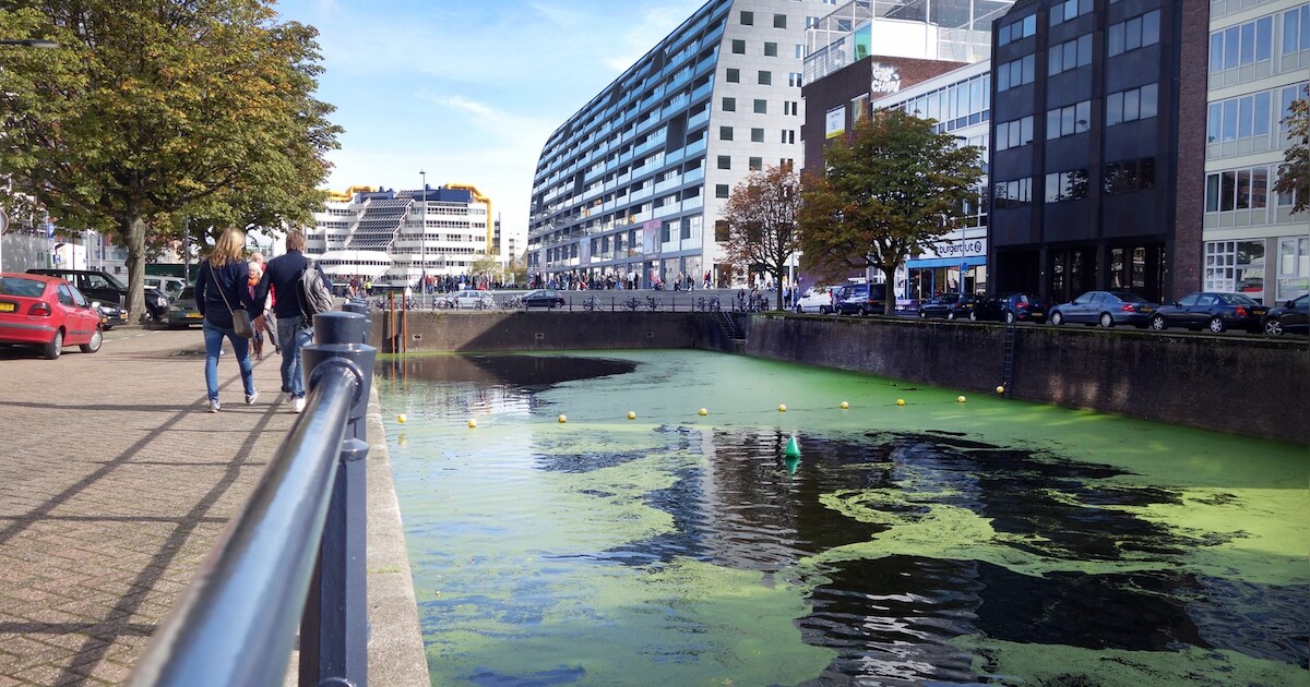 'RiF010 moet naar nieuwe plek' | Rotterdam | AD.nl