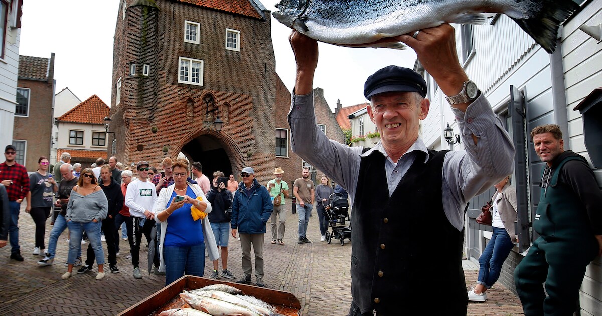 Piet telt in sneltreinvaart af bij historische visverkoop: ‘Snoekbaars ...