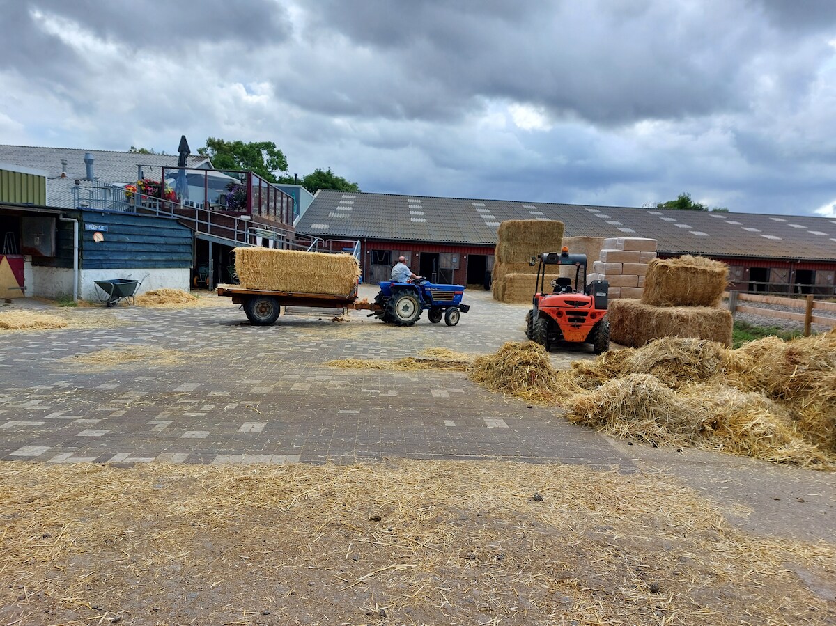 Jumbo Renesse verhuist mogelijk naar terrein manege Grol | Foto | AD.nl