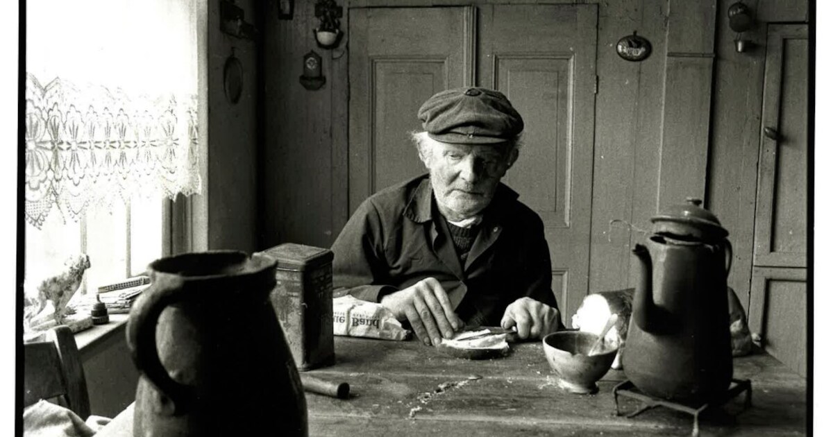 Boer Harrie door de ogen van kunstenaar Bart Gijsbers: een film voor liefhebber van eenvoud ...