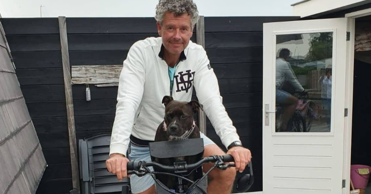 Wybe nam hond Pep zes jaar lang mee naar zijn werk, tot de baas daar ...