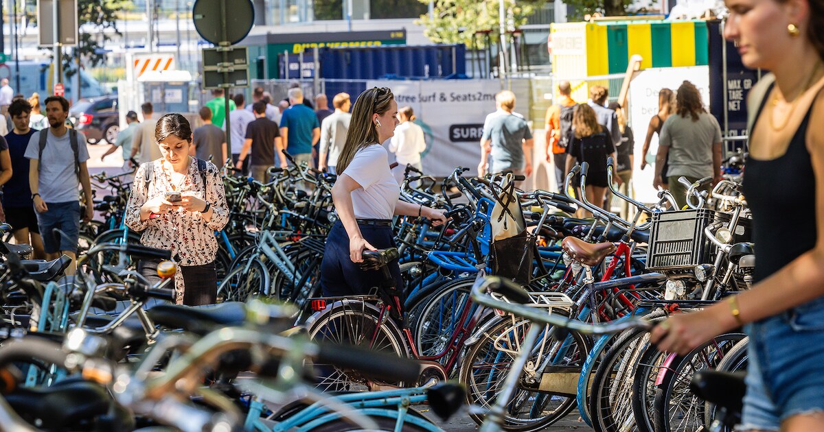 Zat plek in grootste stalling ter wereld, toch zetten veel mensen in ...