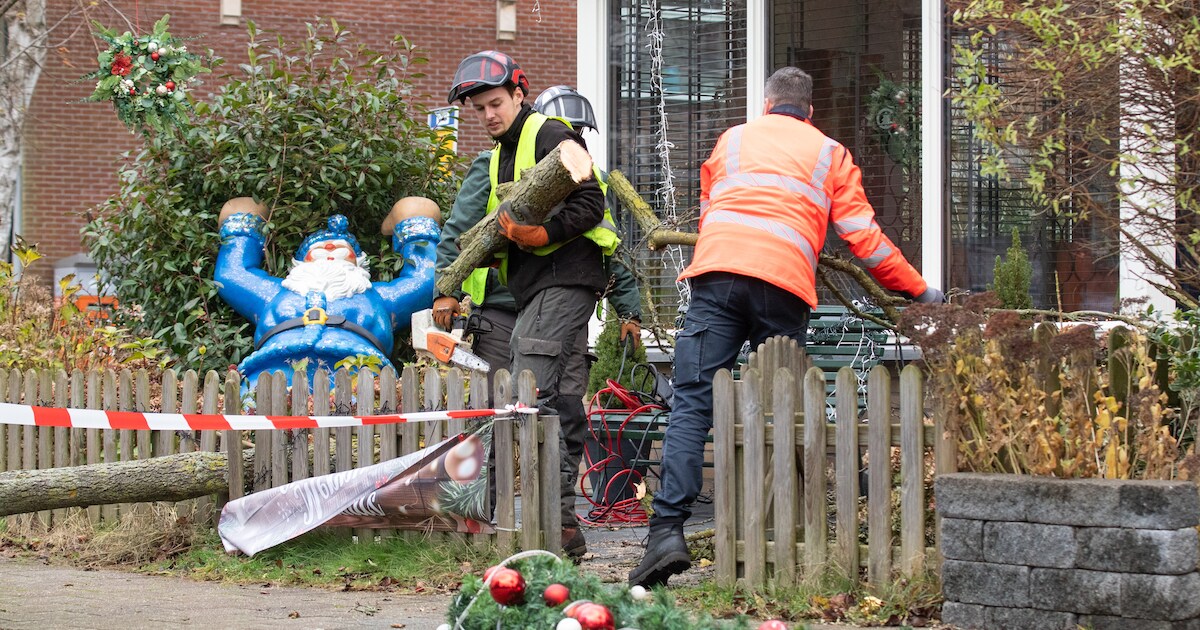 Op de dag na Sinterklaas velt storm de eerste kerstman in Baarn | Baarn ...