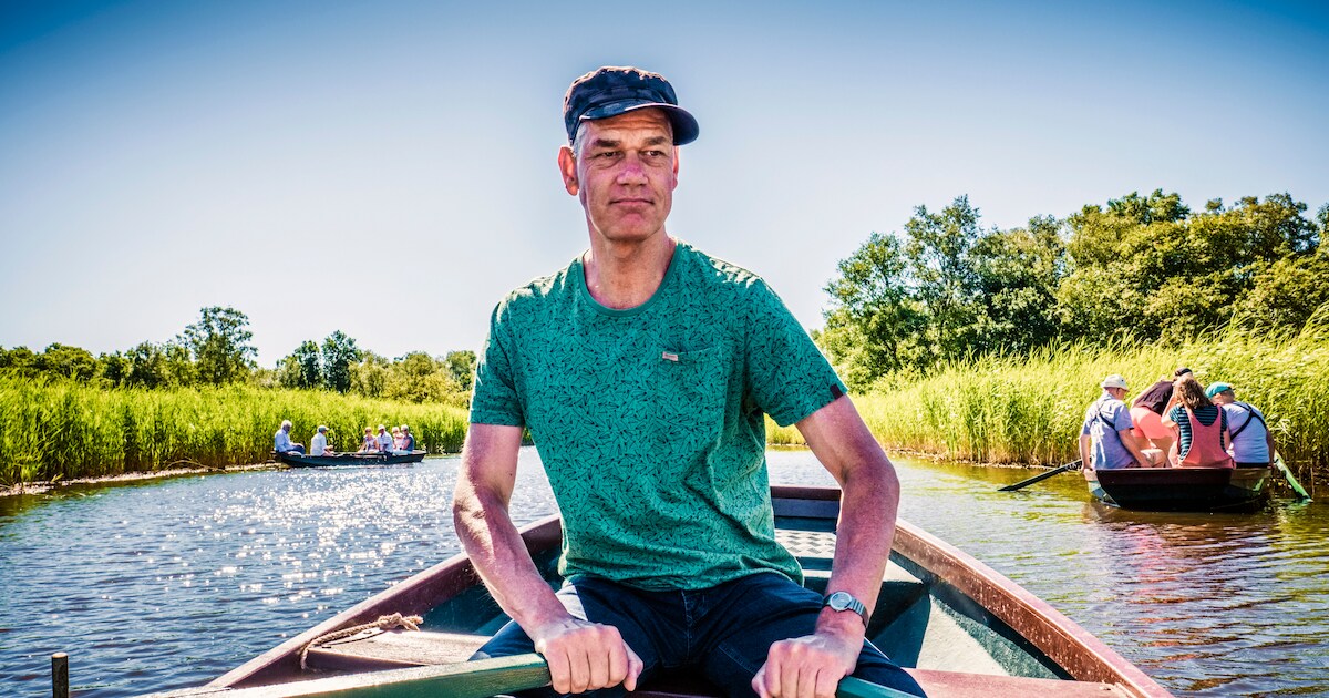 Wuivend riet zo ver als je kunt kijken | Woerden | AD.nl