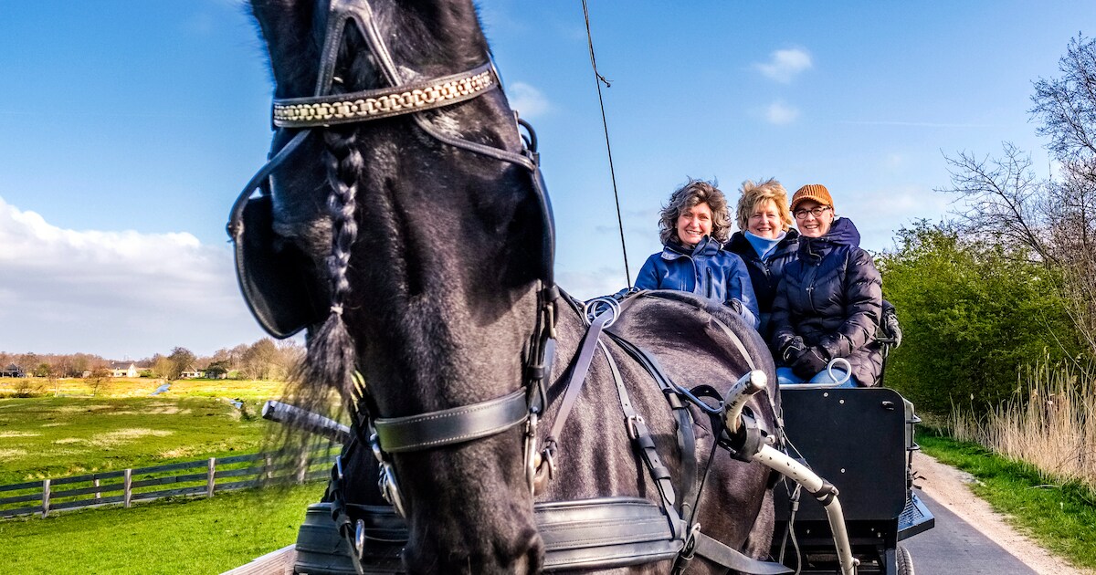 Uniek! Deze vriendinnen rijden met paardenkar over straat: ‘Saai? We ...