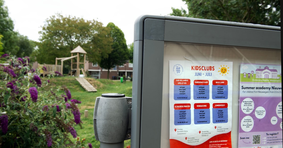 David de R. (48) is vlak voordat hij meisje van 7 in Nieuwegeinse speeltuin neerstak beoordeeld ...